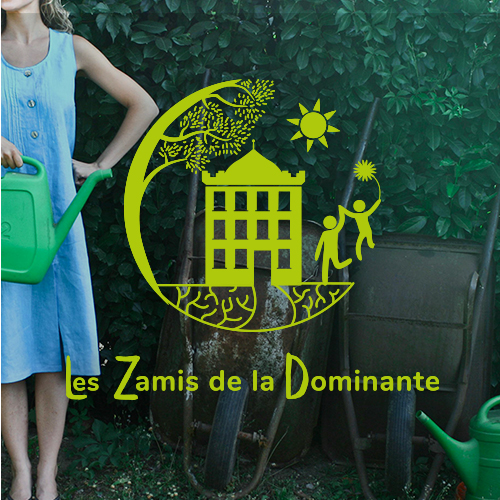 Les Zamis de la Dominante - Des Trucs Bien : Des Trucs Bien